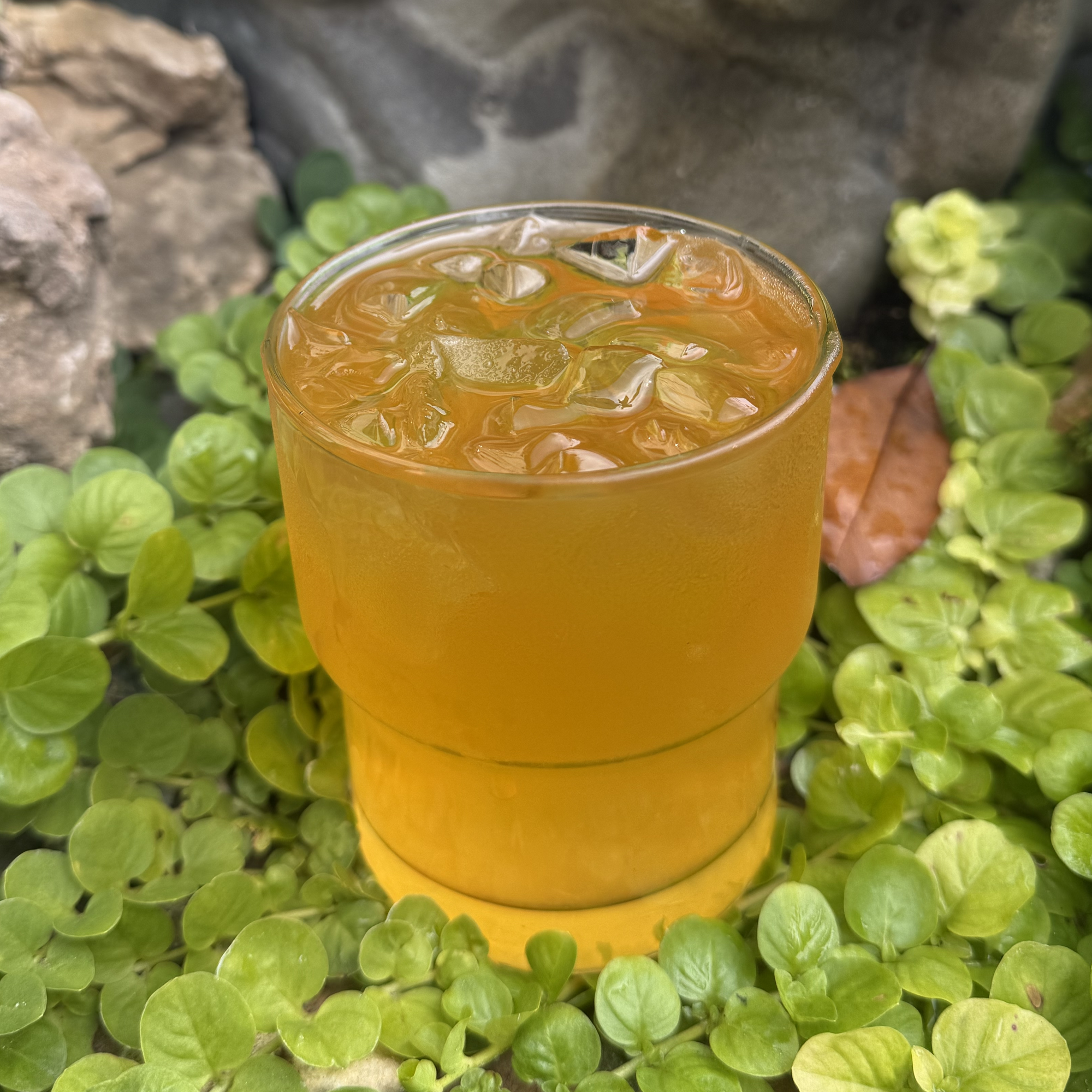 Why a Daily Cup of Tea Is So Important... – Oasis at the Mill